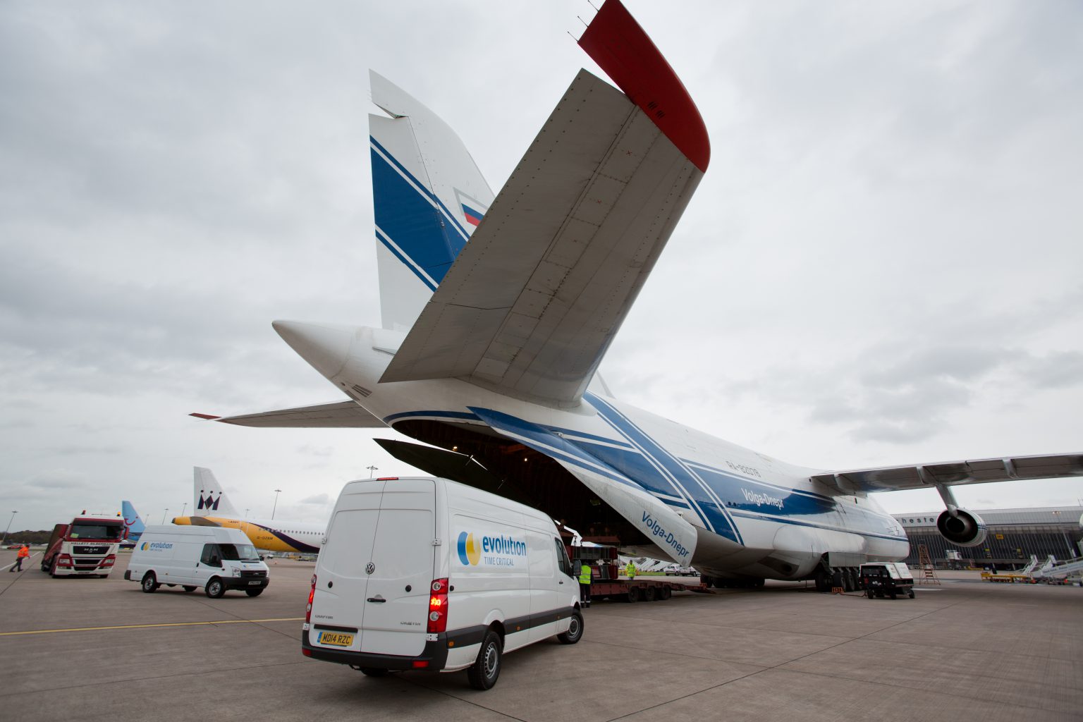 Home - Evolution Time Critical